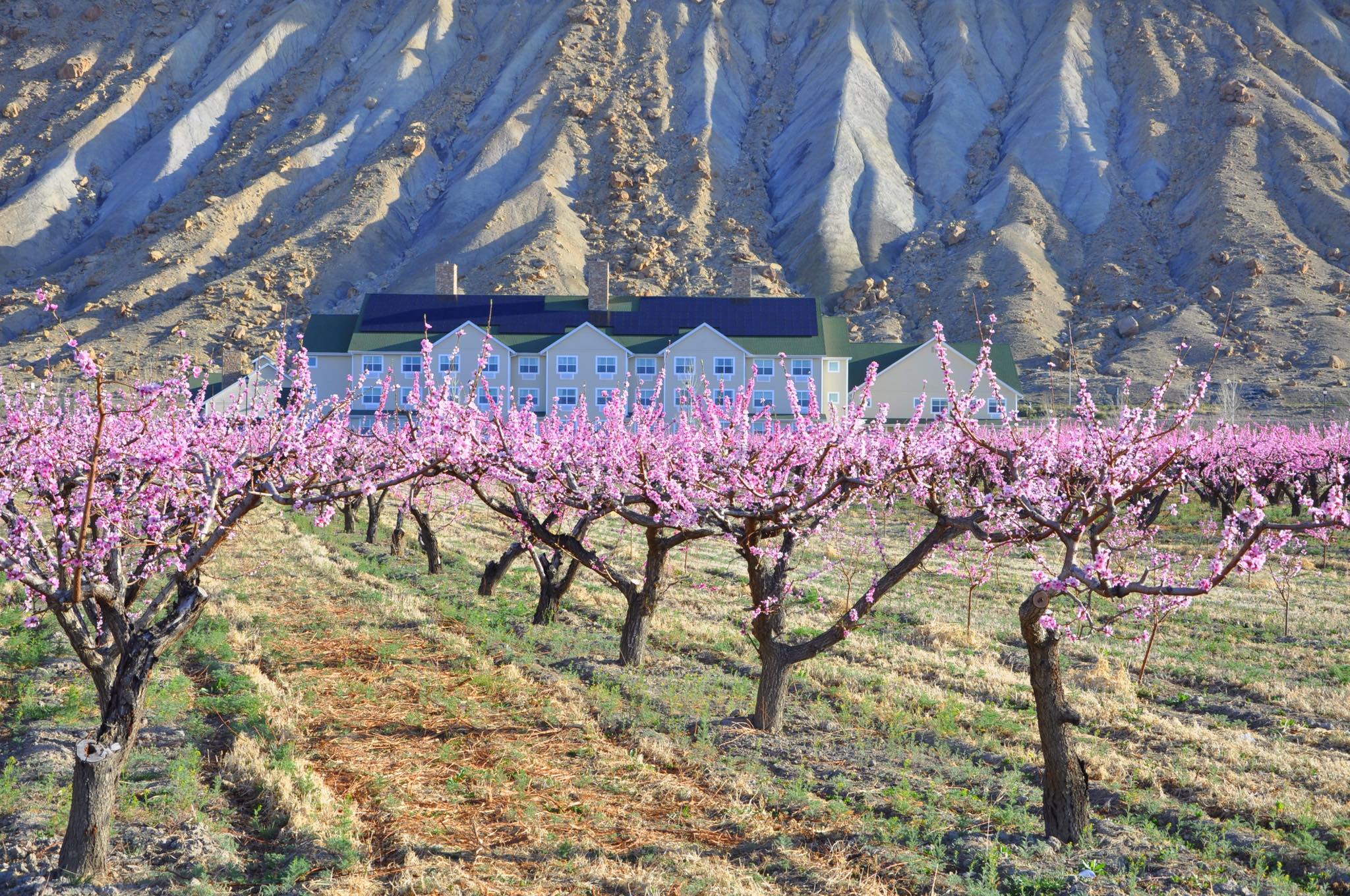 Press | Colorado Wine Country Inn